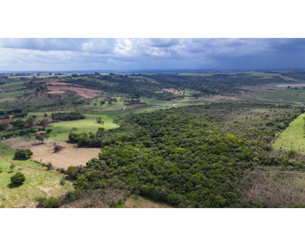 Perdizes/MG - Fazenda com 37ha Fazenda em leilão | Franco Leilões